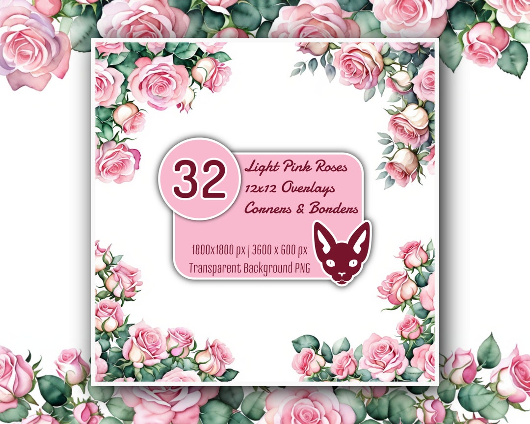 12x12" Light Pink Rose Overlays Set | PNG With Transparent Background ...