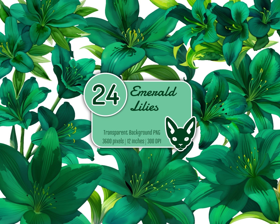 Emerald Lily in Watercolor | PNG With Transparent Background | Instant Download | Digital Clip ...