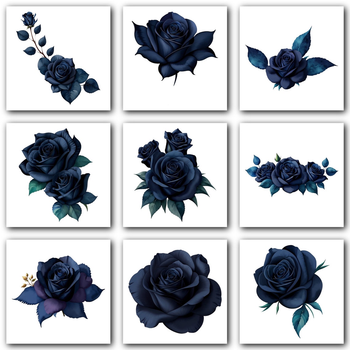 Navy Roses in Watercolor | PNG With Transparent Background | Instant ...