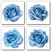 DIY 5x7" Baby Blue Rose & Silver Leaves Overlays Set | 32 Pngs ...