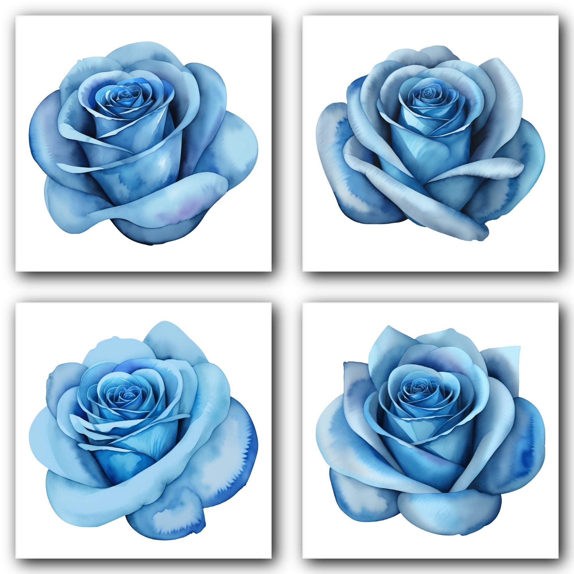 DIY 5x7" Baby Blue Rose & Silver Leaves Overlays Set | 32 Pngs ...