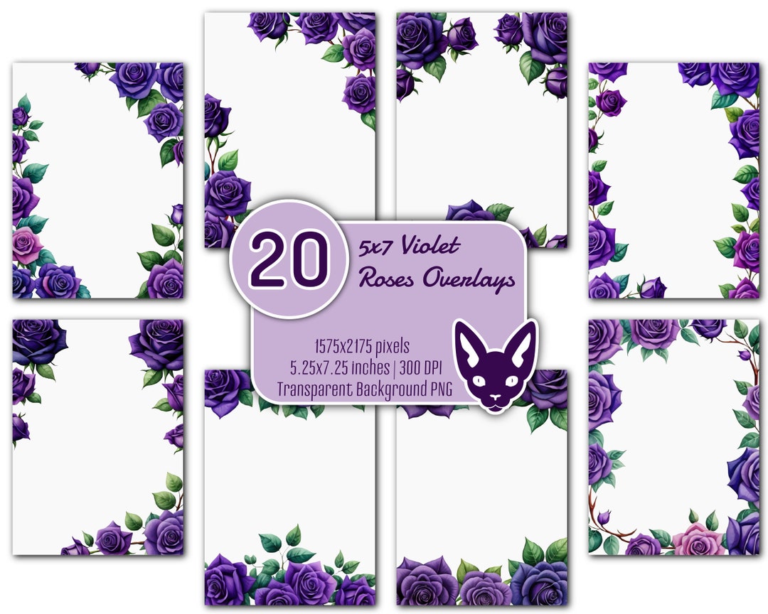 Violet Rose Watercolor Overlays: 20 PNG Floral Borders (digital ...