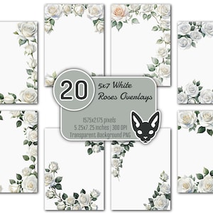 5x7" White Rose Overlays Set | 20 Pngs | Transparent Background ...