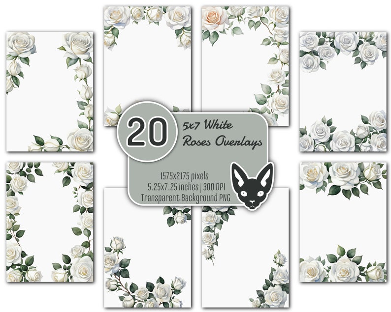 5x7" White Rose Overlays Set | 20 Pngs | Transparent Background ...