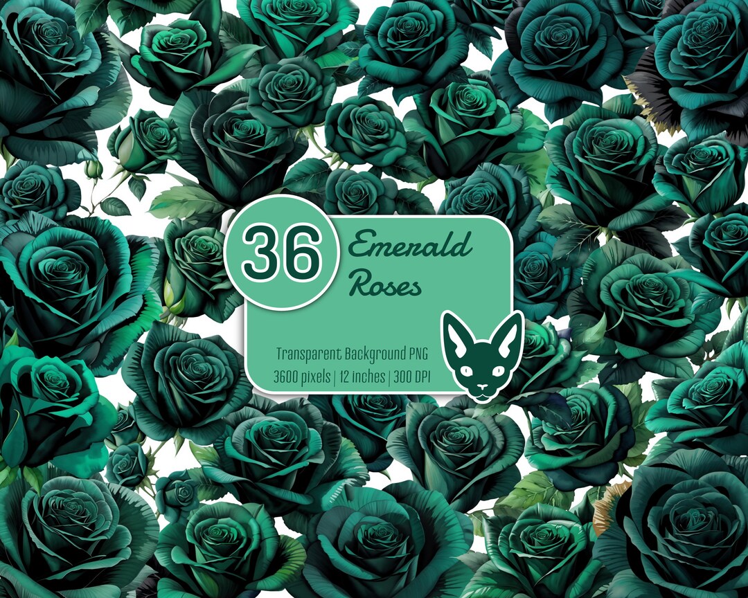 Emerald Roses Watercolor Clipart: 36 PNG Floral Designs (digital ...