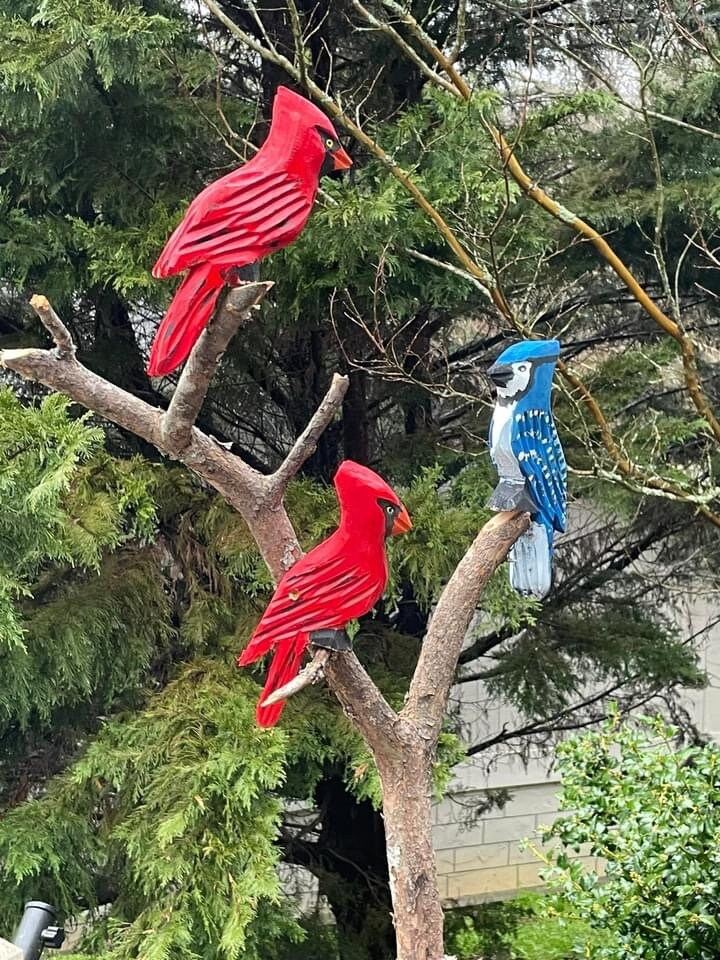 Hand Carved Wooden Blue Jay. Mount It on a Tree Branch, Fence ...