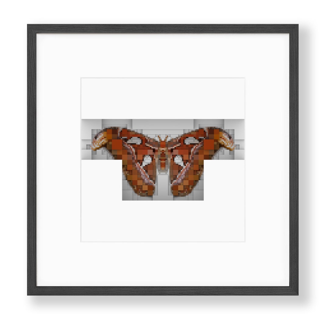 Moth Print, Wall Art, Pixel Art Print, Room Decor, Nature Print ...
