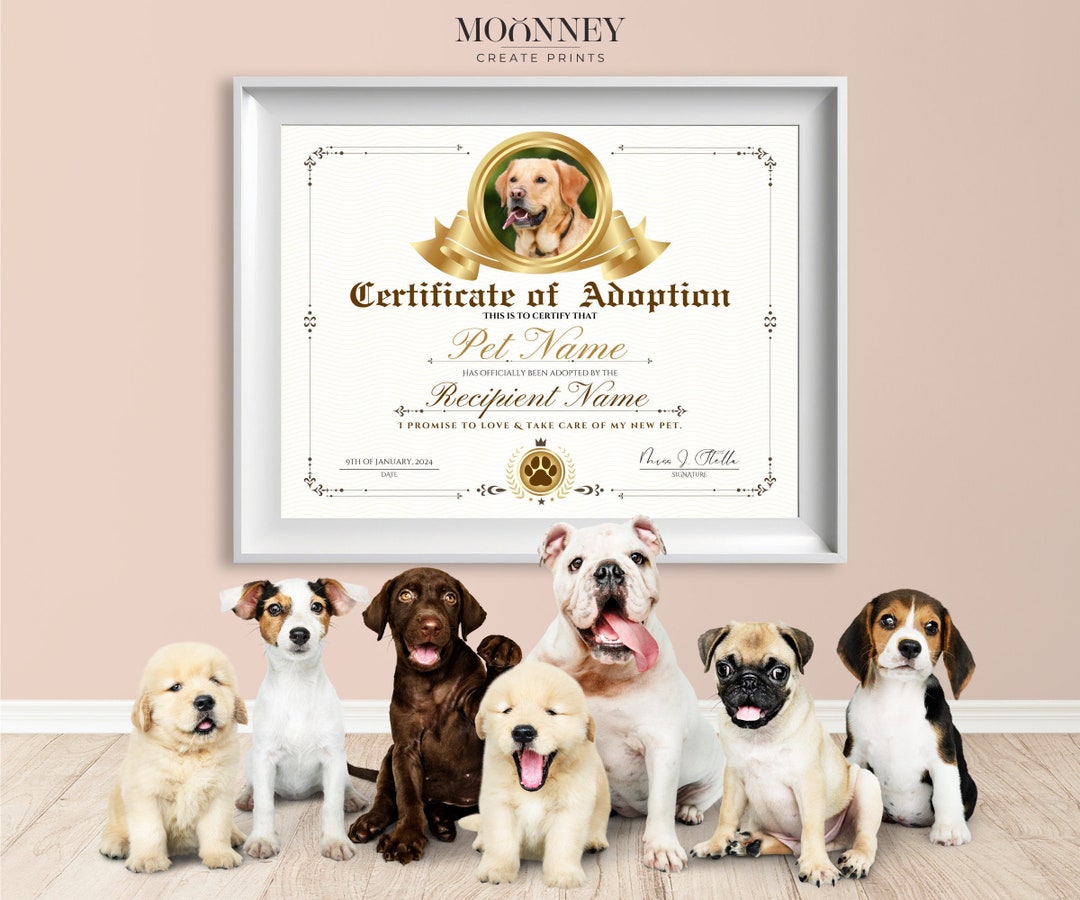 Adoption Certificate, Pet Adoption, Pet Certificate, Editable ...
