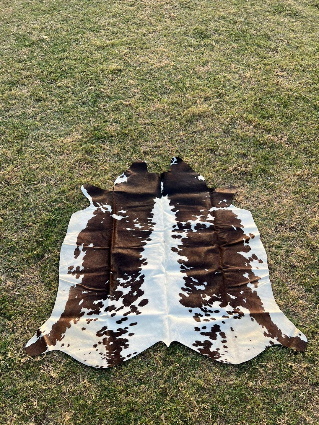 Amazing Cowhide Rug Tricolor Cow Skin Rug Cow Hide Rug Cowhide Floor ...