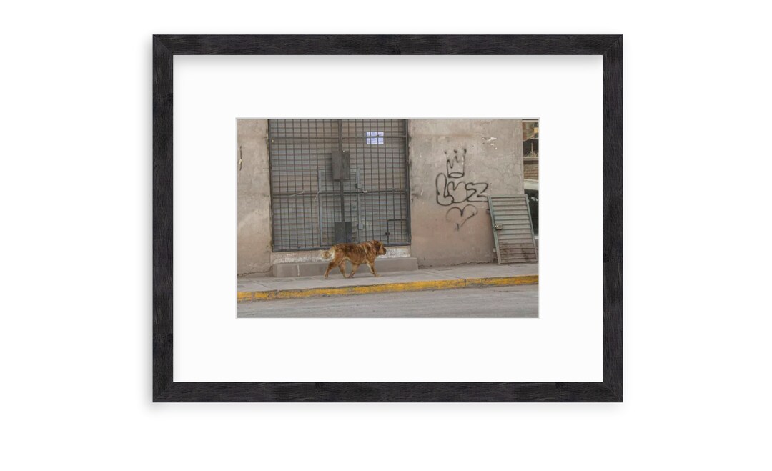 Stray Dogs 9 the Streets of Peru Framed Photo Print - Etsy