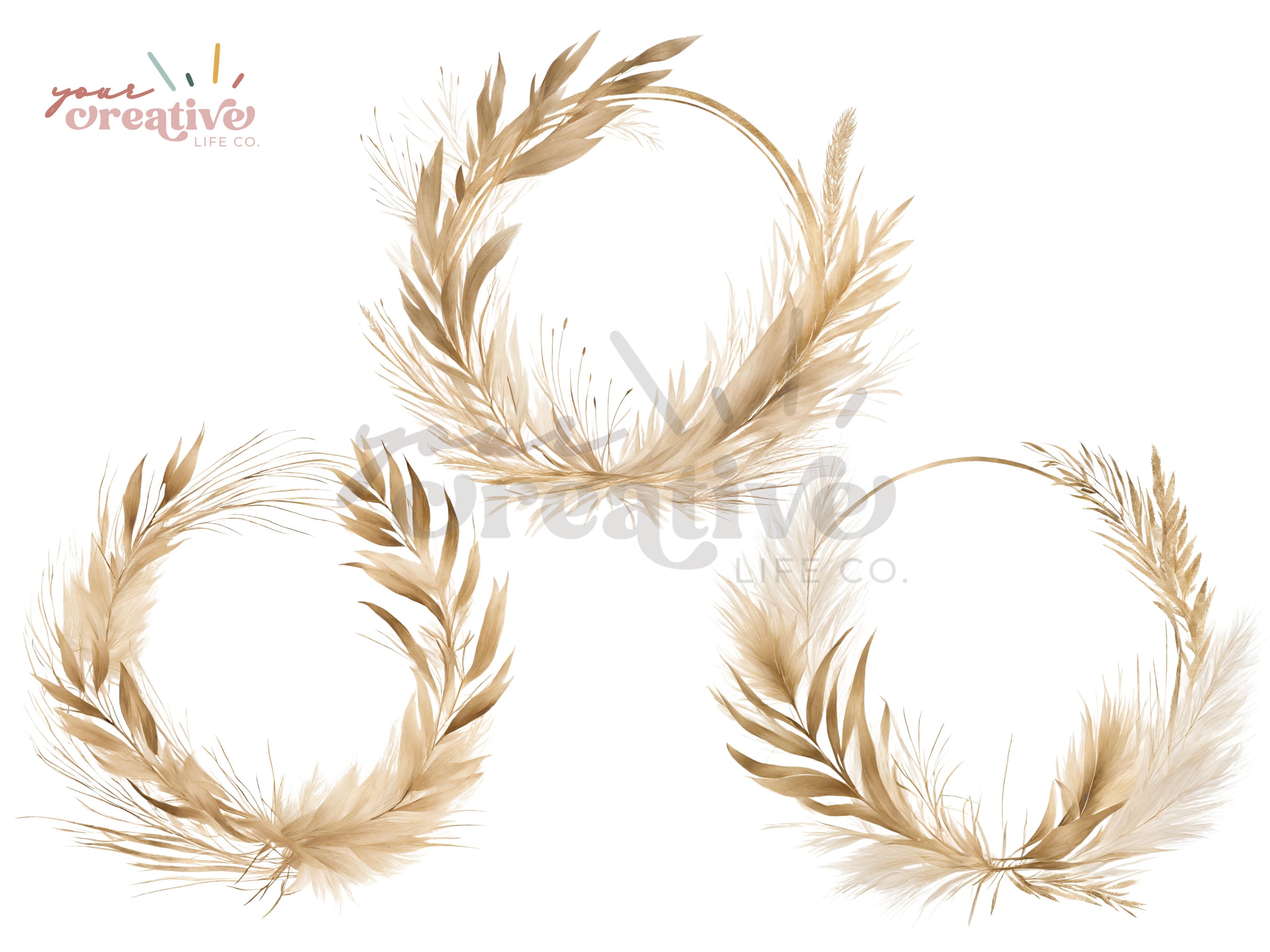 Watercolor Pampas Wreath Clipart Bundle Dried Pampas Grass Frame ...