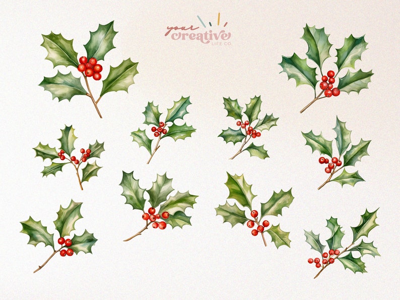Watercolor Holly Clipart Pack Holly Berries Christmas Clipart Holly PNG ...