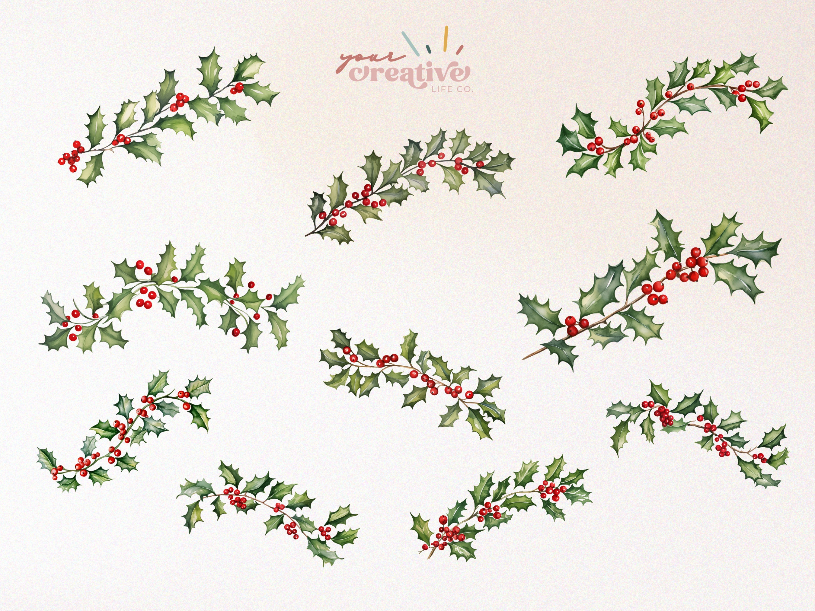 Watercolor Holly Clipart Pack Holly Berries Christmas Clipart Holly PNG ...