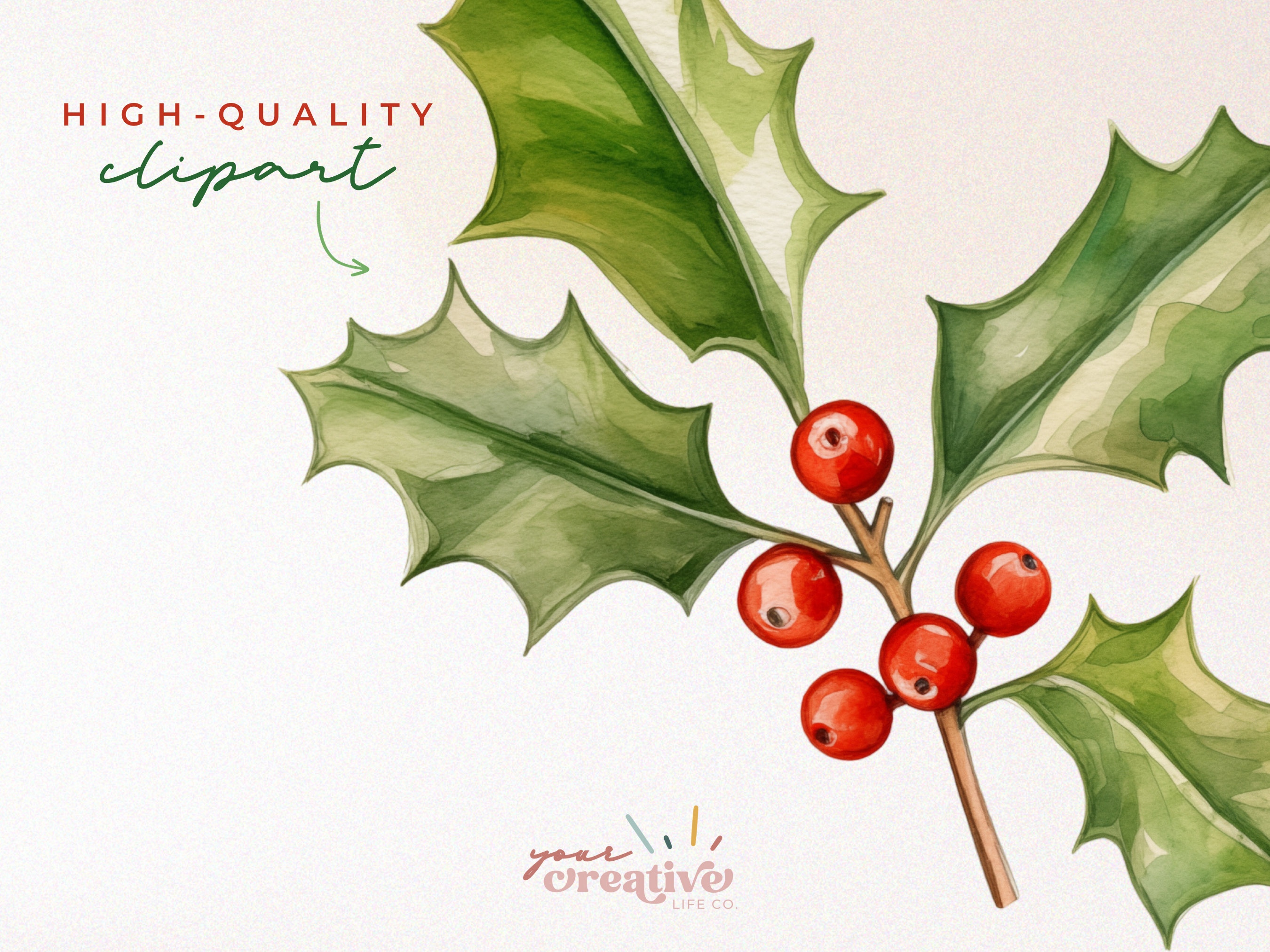 Watercolor Holly Clipart Pack Holly Berries Christmas Clipart Holly PNG ...