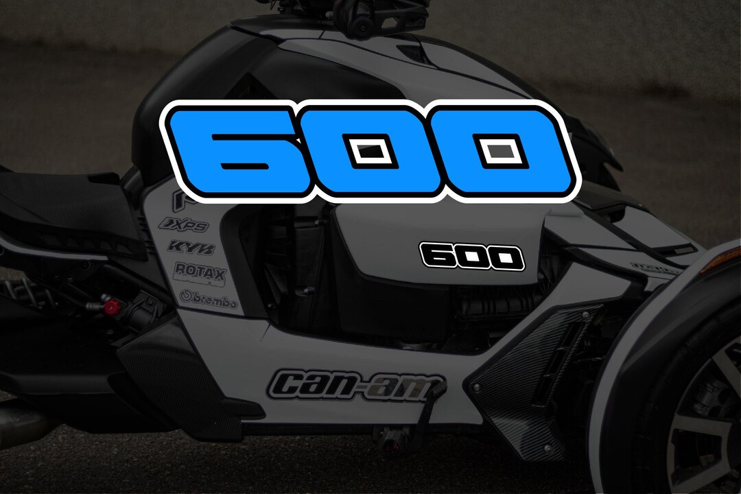 600 3 Color Decal (pair) - Can-am Ryker - Etsy