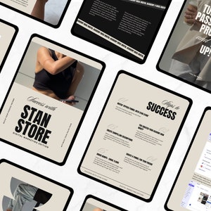 Success With Stan Store Guide PLR Guide MRR Digital Product With PLR ...