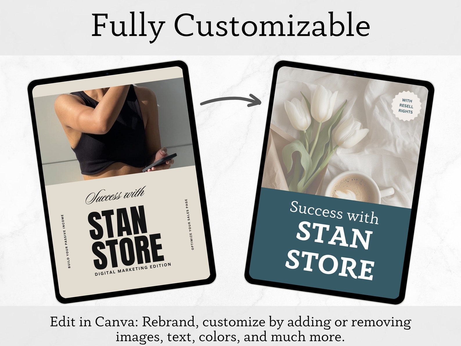 Success With Stan Store Guide PLR Guide MRR Digital Product With PLR ...