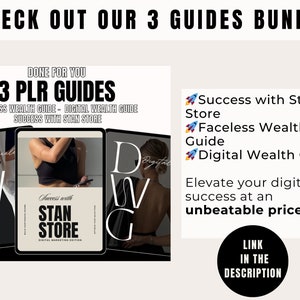 Success With Stan Store Guide PLR Guide MRR Digital Product With PLR Stan Store Guide Done for ...