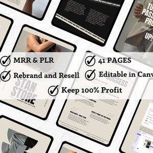 Success With Stan Store Guide PLR Guide MRR Digital Product With PLR Stan Store Guide Done for ...