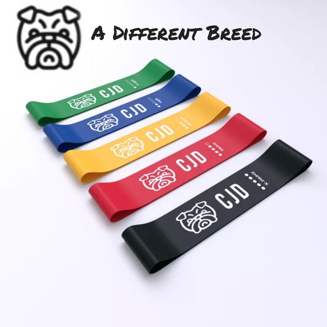 5 Piece Premium Resistance Bands: Perfect for Yoga, Strength Training ...