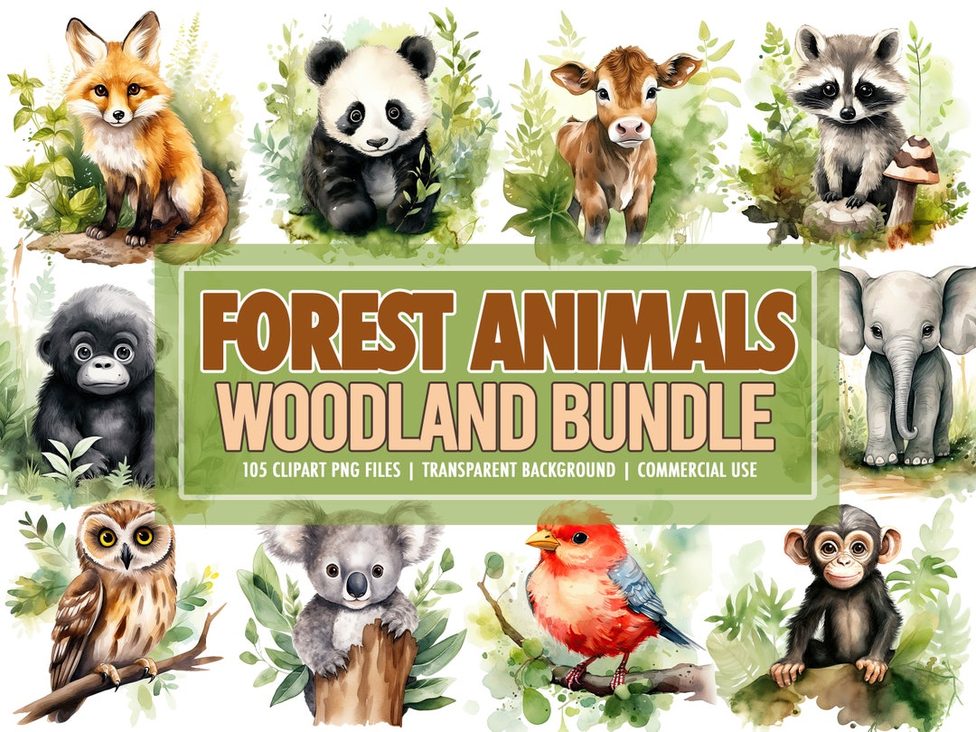 Watercolor Forest Animals Woodland Png-clipart Bundle of 105 - Digital ...