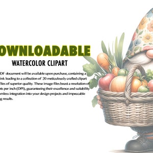 Watercolor Spring Garden Outdoor Gnomes PNG Clipart Bundle of 20, Cute ...