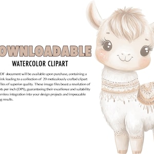 Baby Animal Nursery PNG Clipart Bundle of 20, Animal Babies, Baby ...