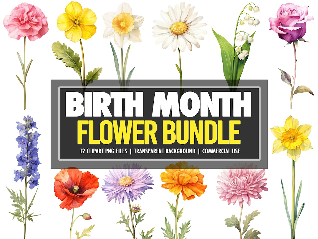 Watercolor Birth Month Flowers PNG Clipart Bundle of 12 - DIY ...