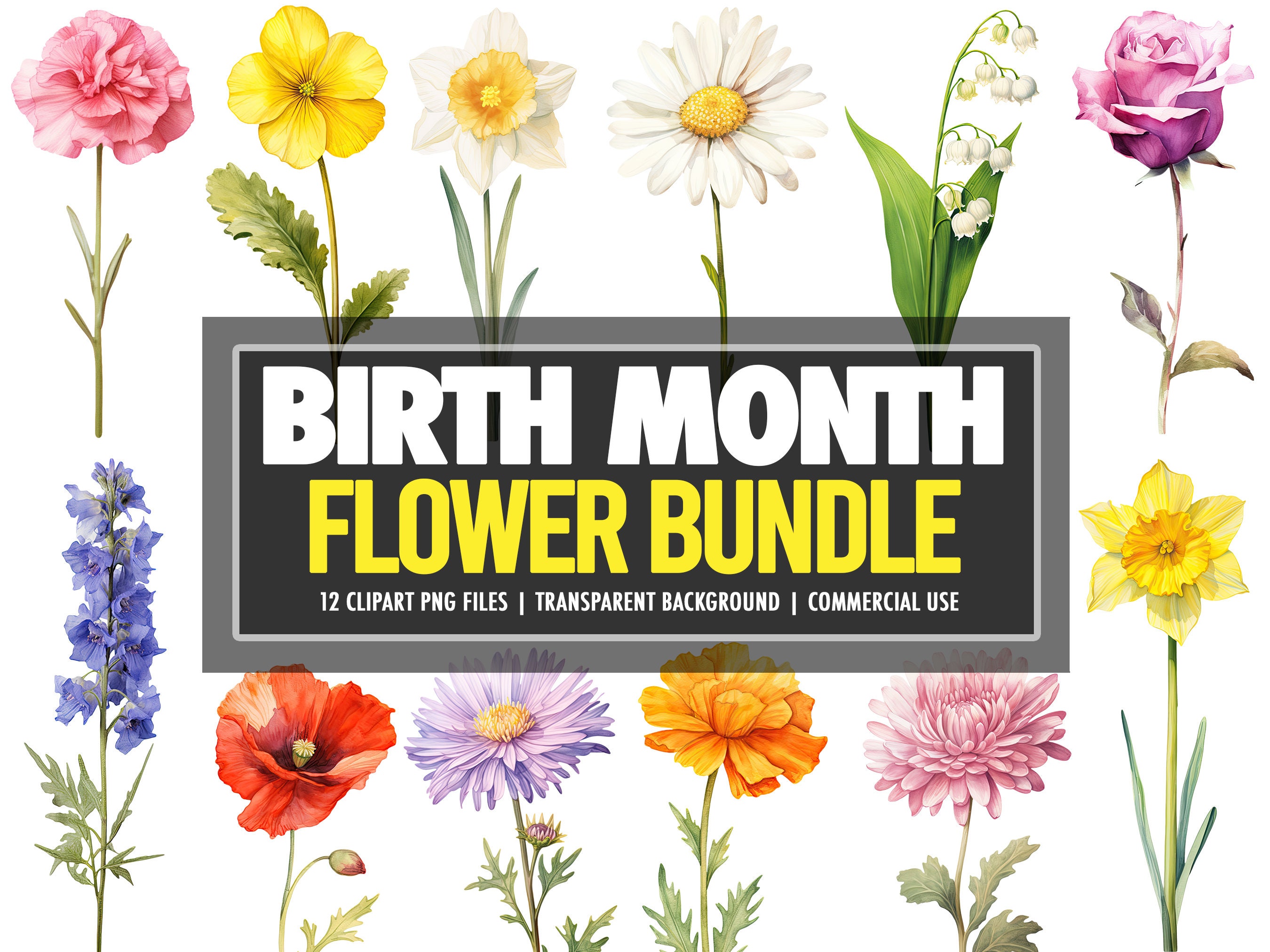 Watercolor Birth Month Flowers PNG Clipart Bundle of 12 DIY Birthmonth ...