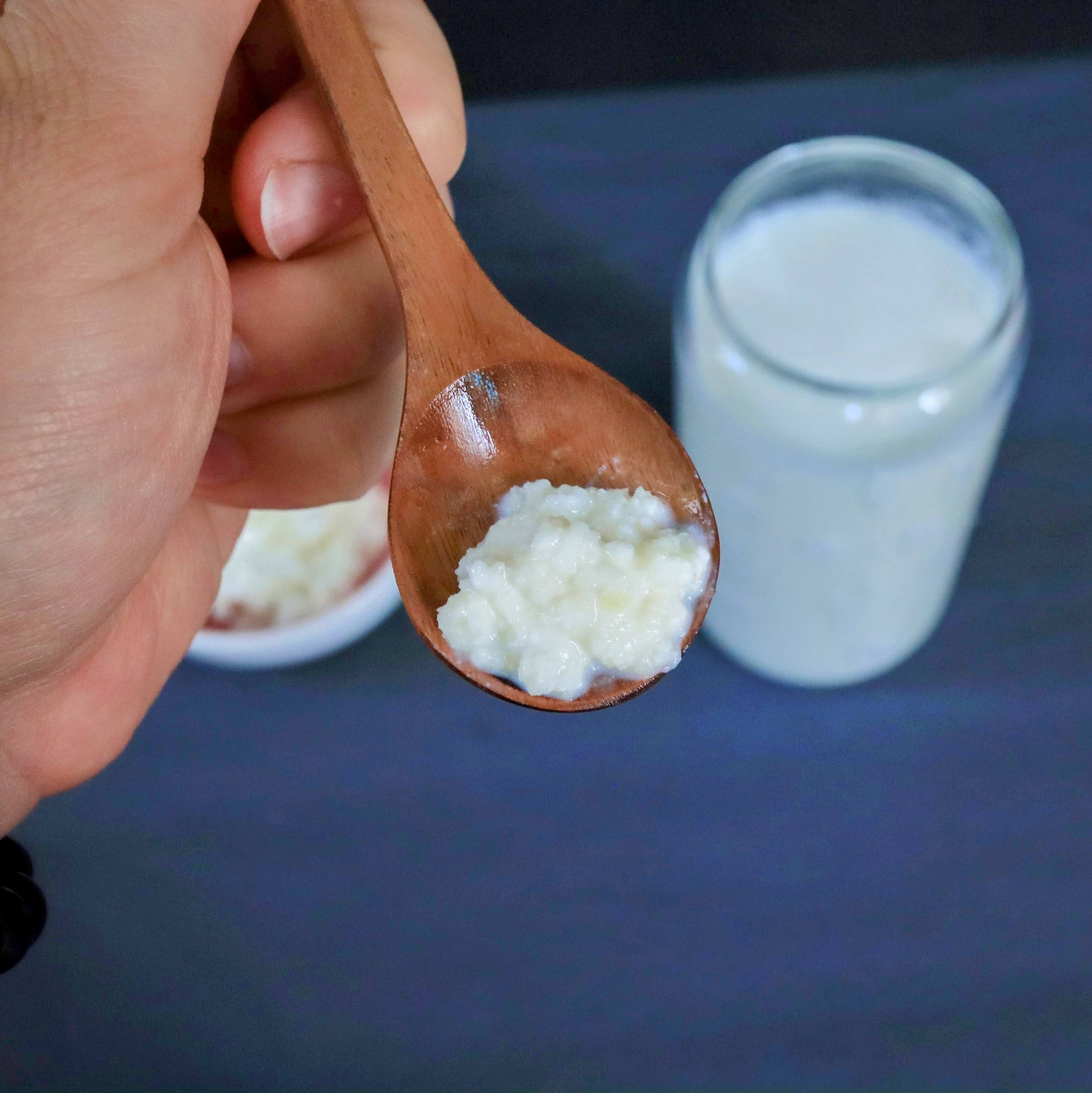 Organic Live Milk Kefir Grains With Starter Kid: Wooden Spoon and ...