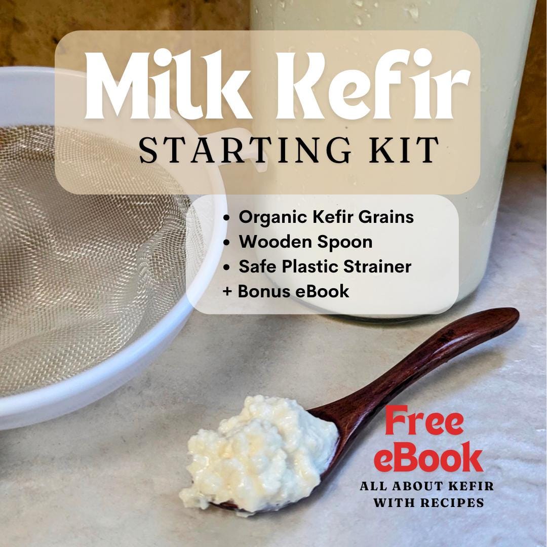Organic Live Milk Kefir Grains With Starter Kid: Wooden Spoon and ...