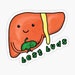 Liver and Gallbladder "best Buds" Sticker | Cute Medical Pun for Med ...
