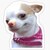 Funny Dog With Sushi Sticker | Perfect for Dog Lovers and Meme ...
