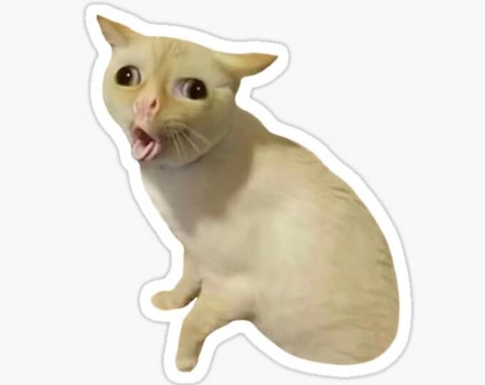 Coughing Cat Meme Sticker - Holographic Funny Sticker - Etsy