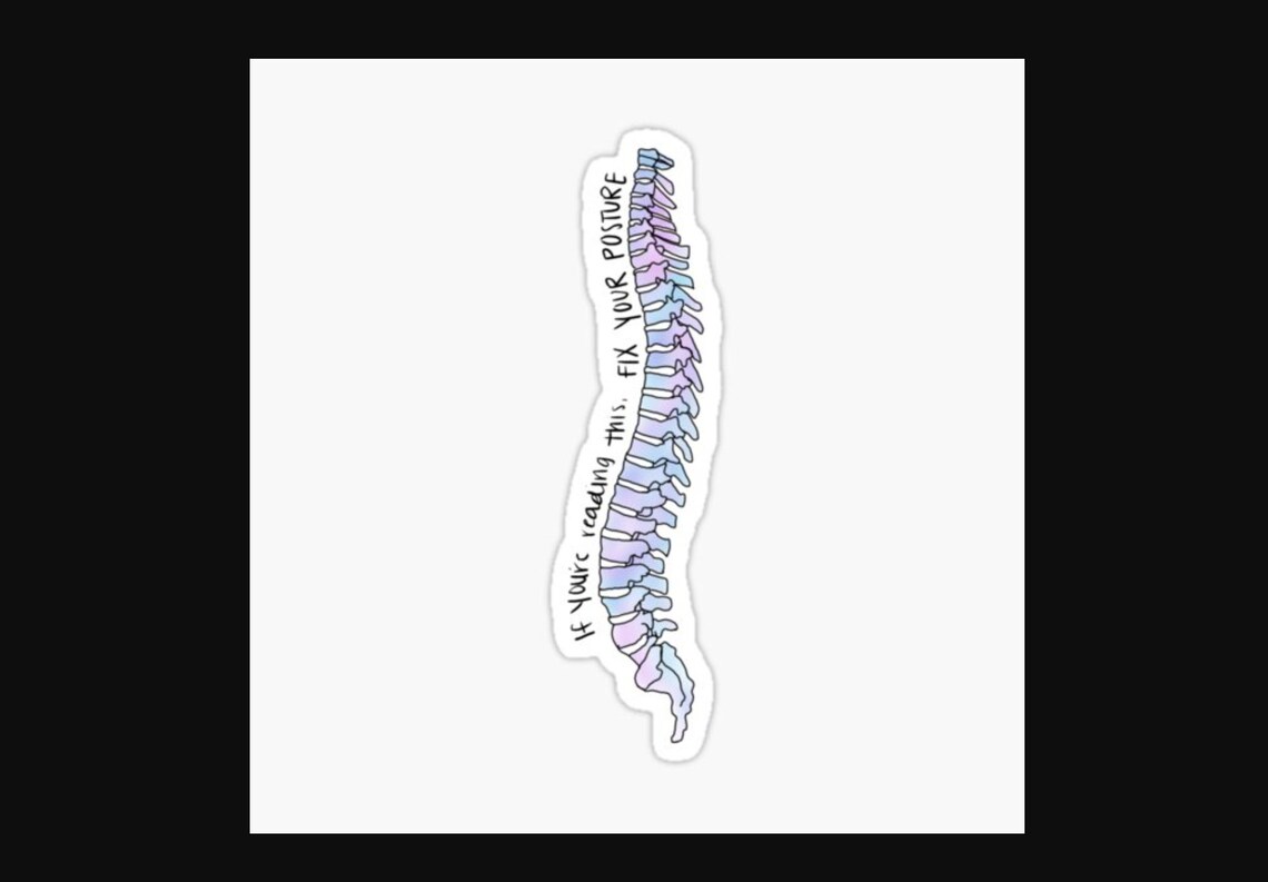 Fix Your Posture Spine Sticker: Funny Anatomy Gift for Med Students - Etsy
