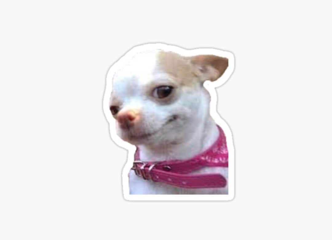 Holographic Chihuahua Smirk Meme Sticker - Funny Dog Lover Gift - Etsy