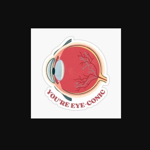 Eye Anatomy "you're Eye-conic" Pun Sticker: Ophthalmology Gift - Etsy