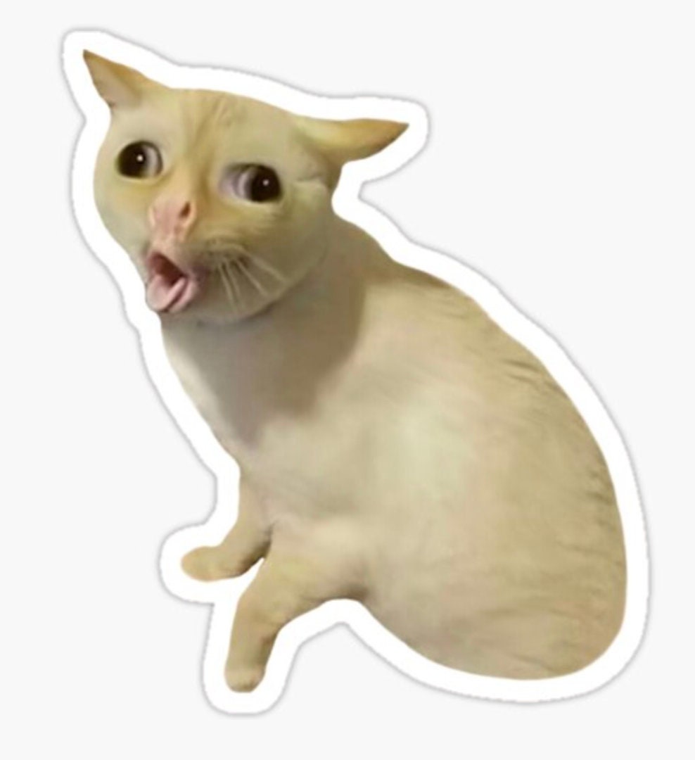 Coughing Cat Sticker Meme Sticker, Funny Sticker, Dog Sticker, Gift for ...