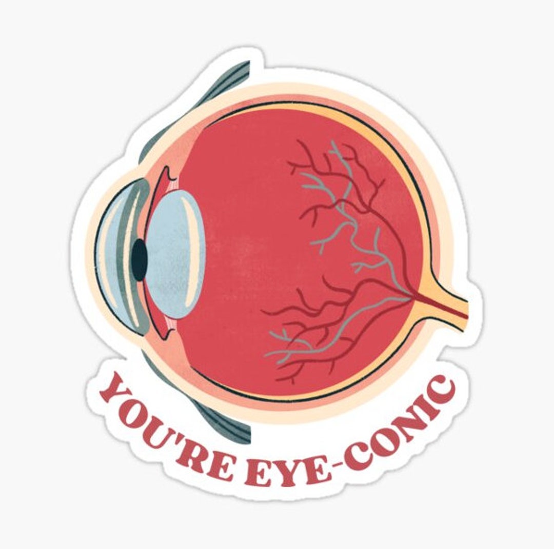 Eye Anatomy "you're Eye-conic" Pun Sticker: Ophthalmology Gift - Etsy