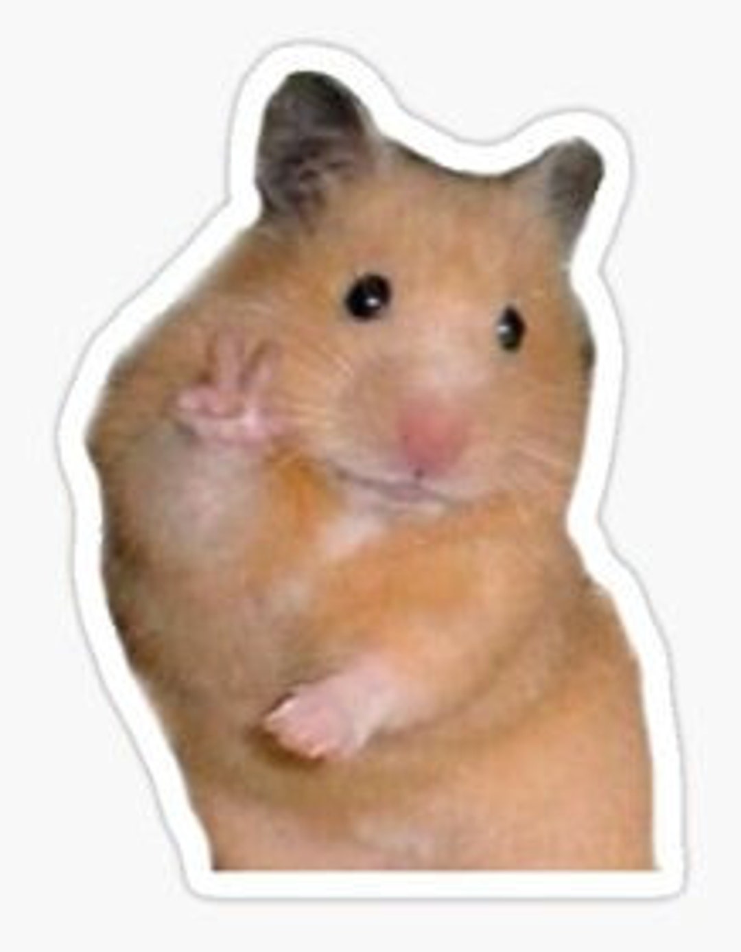 Hamster Meme Sticker - Etsy