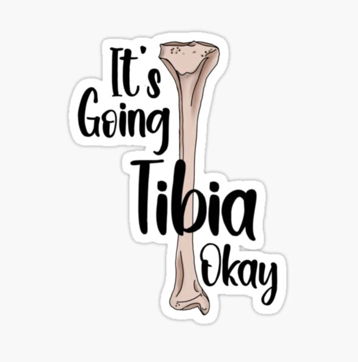 Tibia Pun Sticker: Funny Bone Anatomy Gift - Etsy