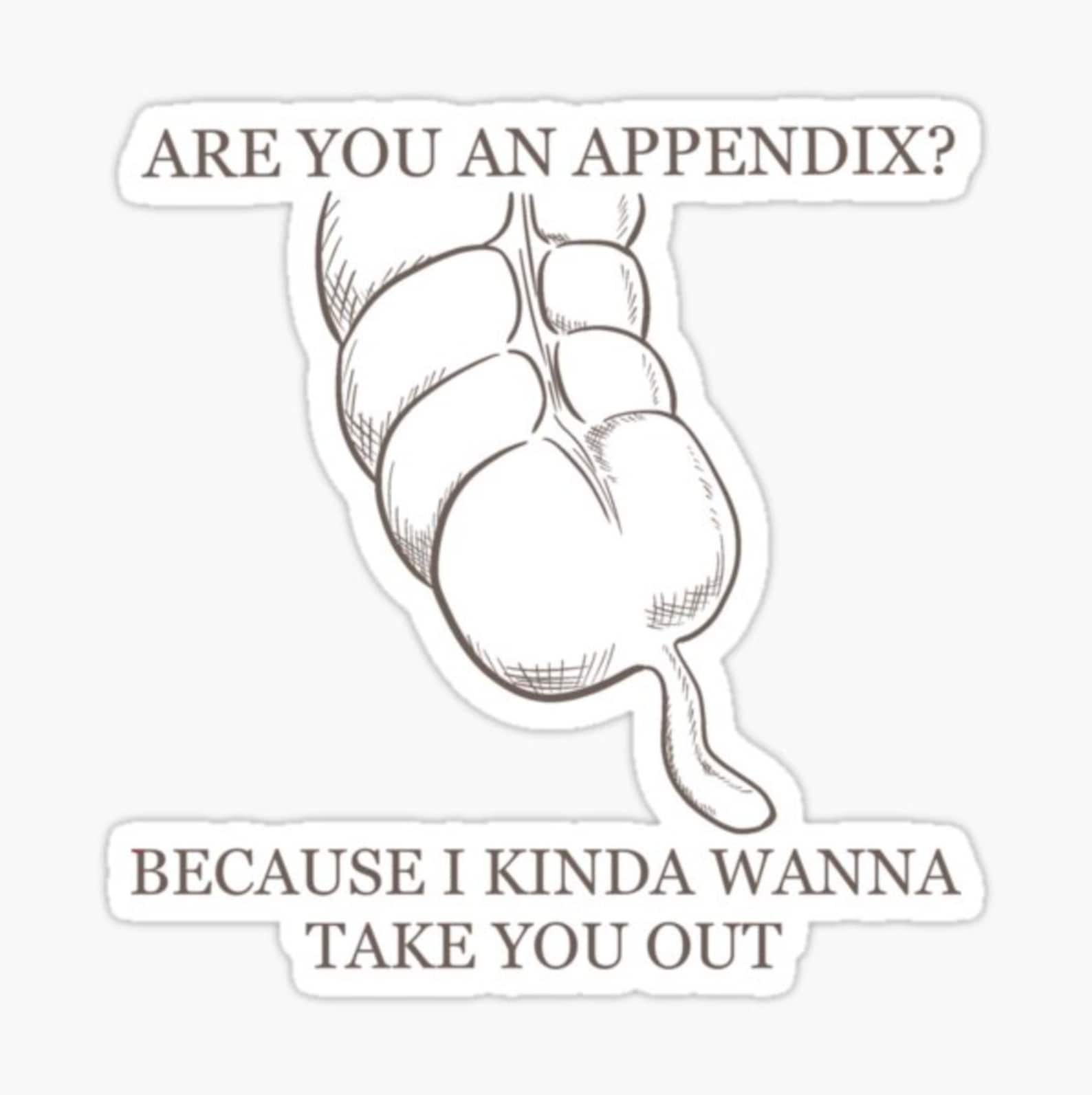 Are You an Appendix? Funny Anatomy Sticker | Medical Pun Sticker for ...