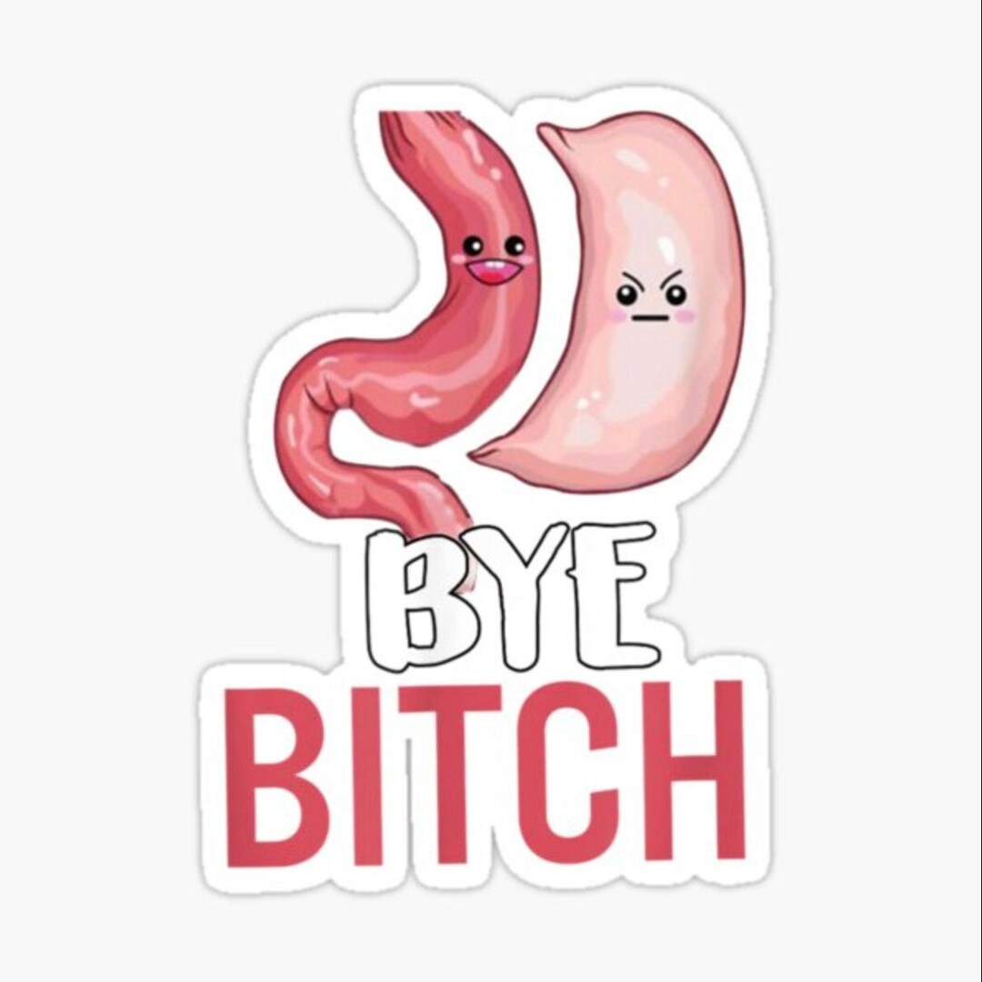Stomach Anatomy "bye Bitch" Sticker | Medical Humor | Medical Sticker ...