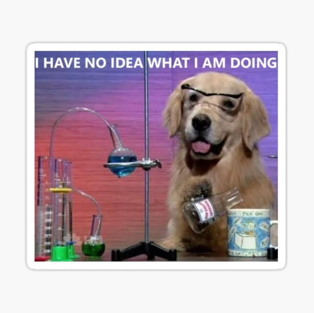Funny Science Dog Meme Sticker: Lab Goggles - Etsy