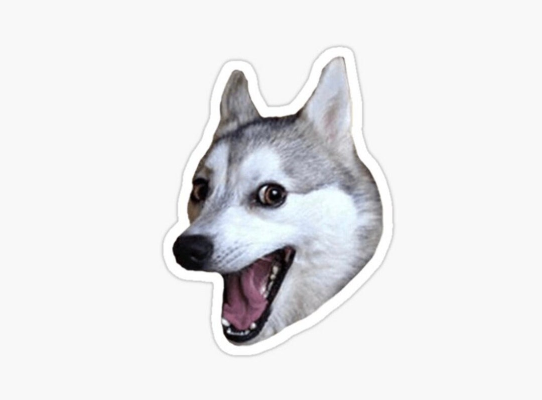 Holographic Husky Smile Meme Sticker - Funny Dog Lover Gift - Etsy