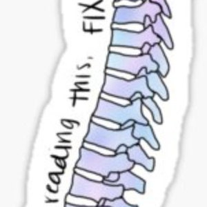 Fix Your Posture Spine Sticker: Funny Anatomy Gift for Med Students - Etsy
