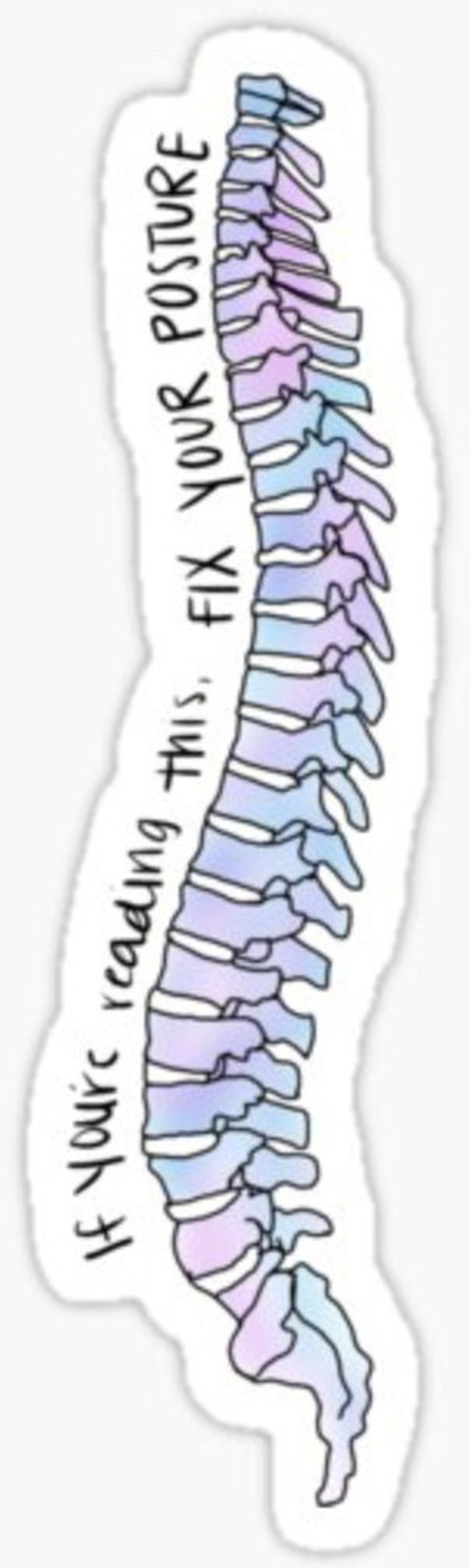Fix Your Posture Spine Sticker: Funny Anatomy Gift for Med Students - Etsy