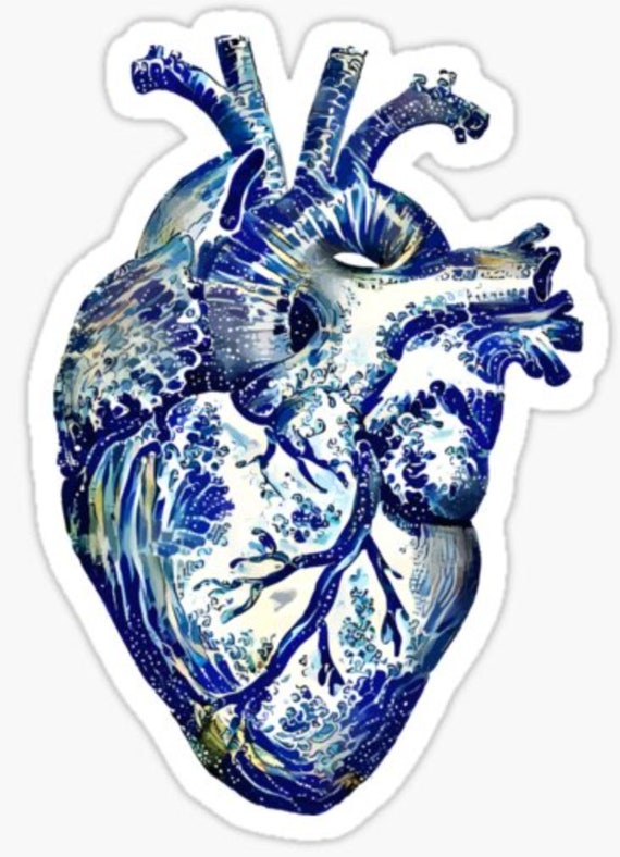 Geweldige Hartontwerpen Om Te Tekenen Anatomisch Hart Houten