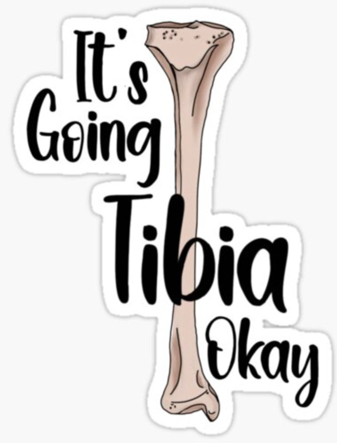Tibia Pun Sticker: Funny Bone Anatomy Gift - Etsy