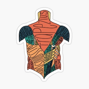 Back Muscle Anatomy Sticker | Muscular System Sticker | Colorful Study ...